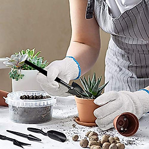 Succulent Tools, 13 Pcs Mini Garden Tool Set, Transplanting Tools Set,Succulent Care kit for Succulent Miniature Gardening Plant, Black