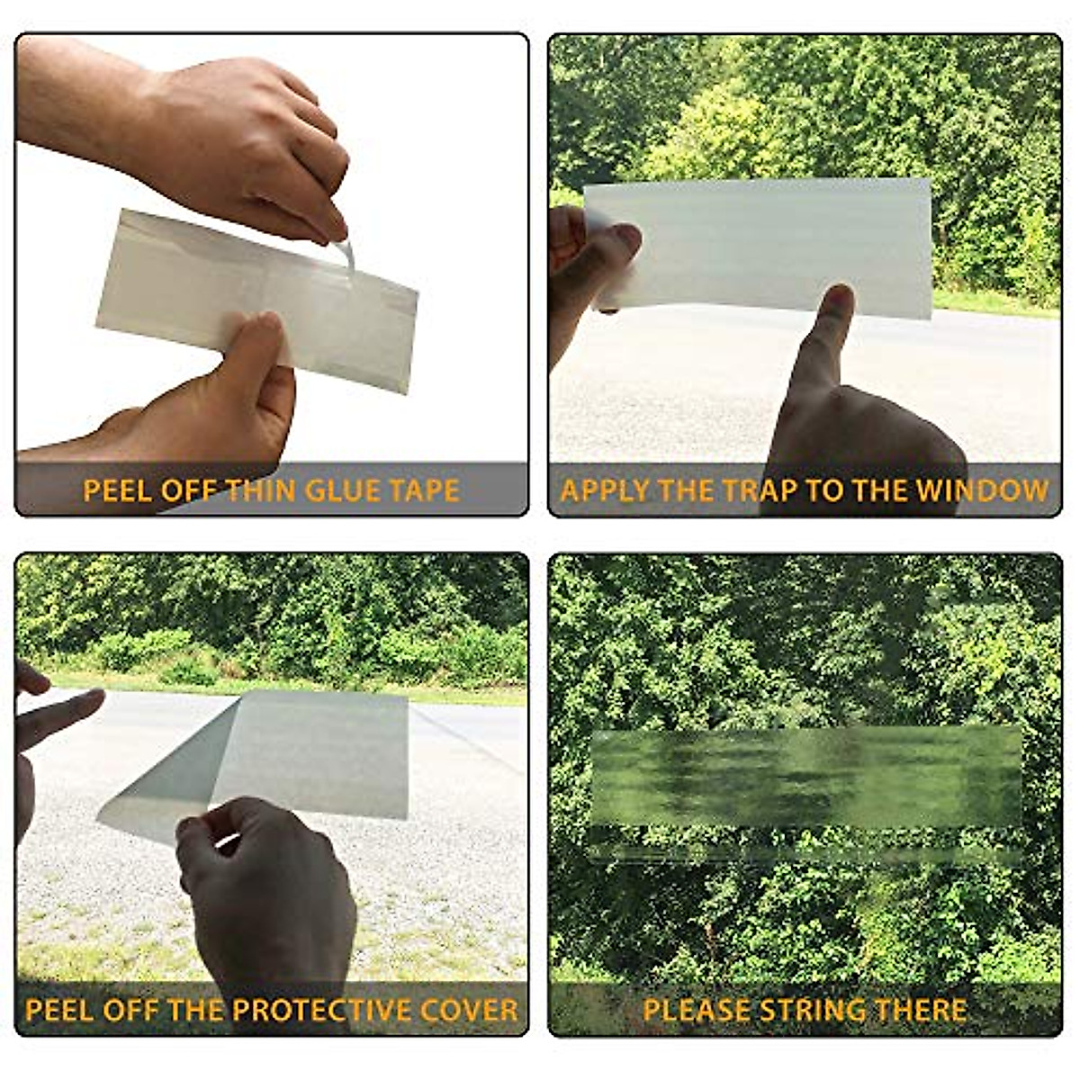 UCatch Transparent Window Fly Traps (13 Pack) to Catch House Flies, Moths, Gnats, Spiders, Bugs. Green, Eco-Friendly See Through Paper with NO Poison