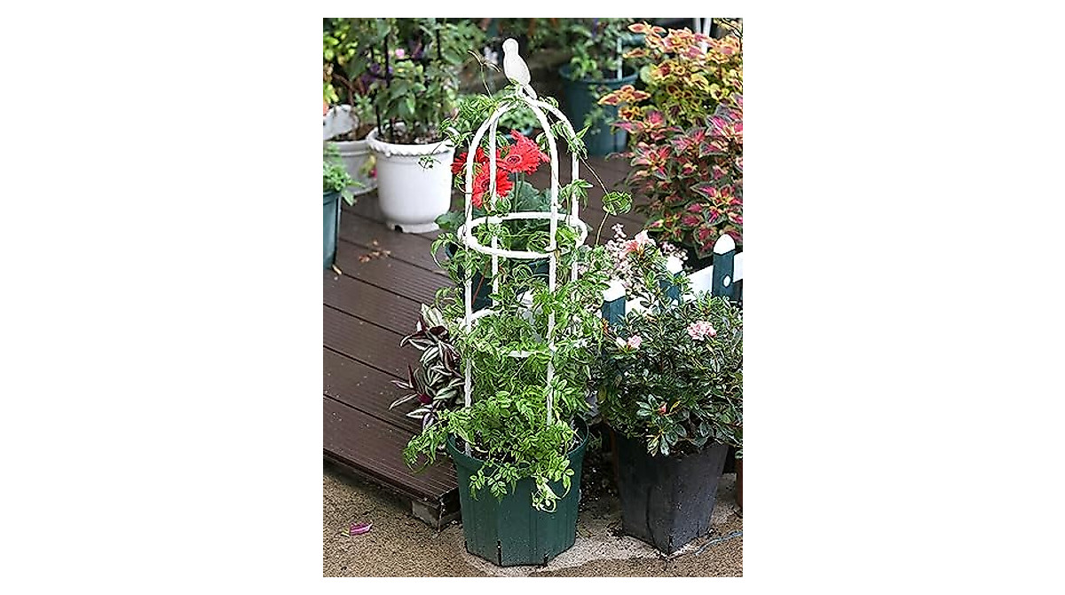 Climbing Vine Rack Rose Trellis Outdoor 120cm Home for Garden Balcony ...