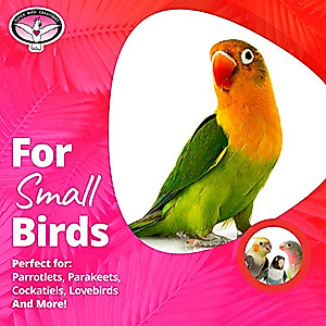 Super Bird Creations SB541 Crinkle Crinkle Little Star Bird Toy, Small Bird Size, 6" x 2"