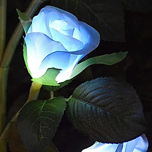 Chasgo Blue Rose Flower Lights Solar Garden Stake Lights with 7 LED Rose Lights Outdoor Waterproof Solar Decorative Lights for Garden Yard Lawn Memorial Cemetery Decoration