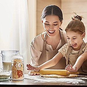 BARST Brown Sugar Saver and Softener Disc, Brown Sugar Keeper with Lovely Dolphin Design for Food Storage Containers, Reusable & Food Safe, Terracotta 6 Pack