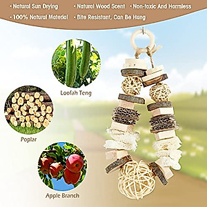 Bunny Chew Toys for Rabbits, Hanging Rabbit Toys, Wooden Bunny Natural Chew and Treat Toys Improve Dental Health for Rabbits, Hamsters, Guinea Pigs Chinchillas, Birds, and Other Small Pets