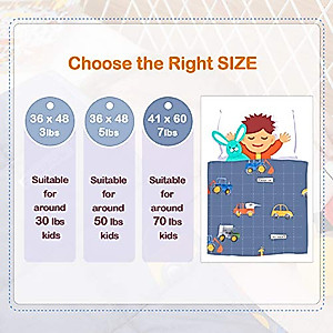 Uttermara Weighted Blanket 3 lbs, Ultra Cozy Minky Fleece and Cotton Sided with Cartoon Patterns, Reversible Heavy Blanket Great for Calming and Sleeping, 36x48 inches, Blue Car World
