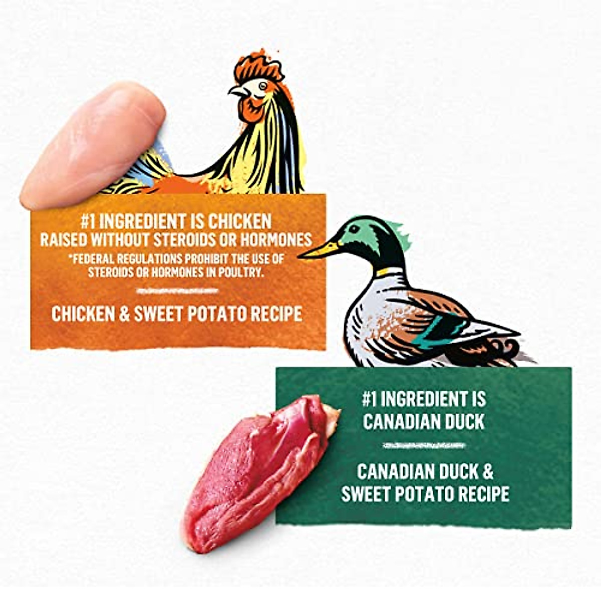 Purina Beyond Grain Free Natural Pate Wet Cat Food Variety Pack, Grain Free Poultry - (2 Packs of 12) 3 oz. Cans