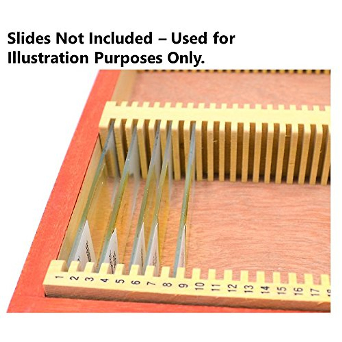 Eisco Labs BI0001C - Wooden Microscope Slide Box, Holds 100-25x75mm Slides