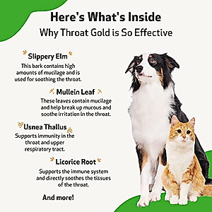 Pet Wellbeing Throat Gold for Dogs & Cats - Vet-Formulated - Soothes Throat Discomfort, Hoarseness, Leash Strain, Occasional Cough - Natural Herbal Supplement 4 oz (118 ml)