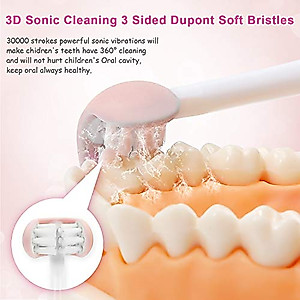 LEYUYO Electric Toothbrush Kids Sonic Cleaning 31000 Strokes Rechargeable Tooth Brush with Timer, 2 Bristles, 3 Modes, Pink