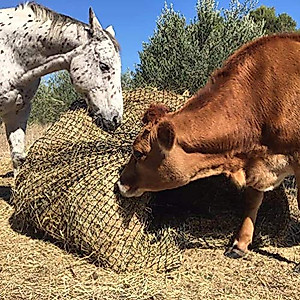 Aoneky Bale Hay Net - Slow Feed Haynet for Horses - 6 x 6 ft