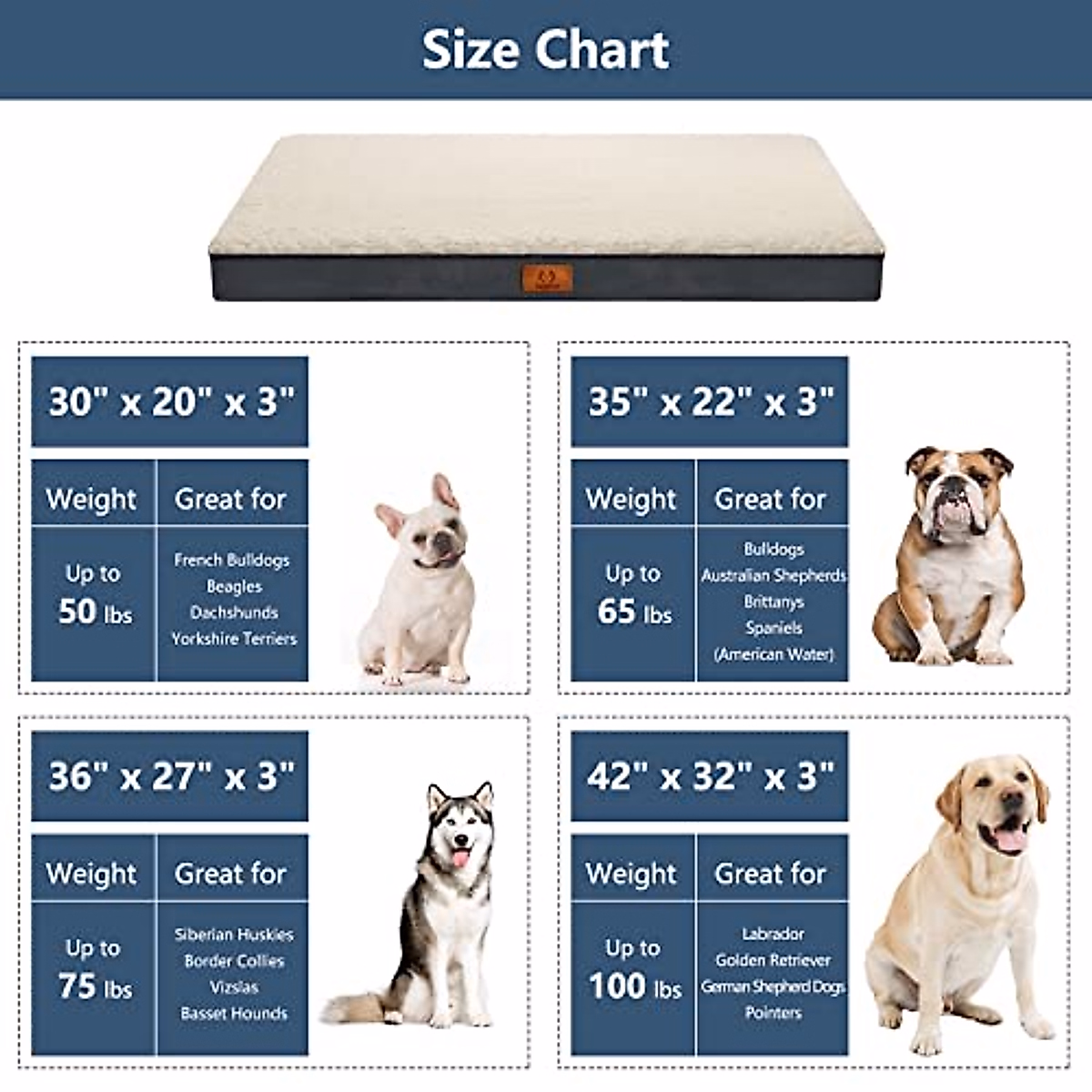 CozyLux Dog Beds for Large Dogs - Large Dog Bed for 65 lbs, Egg-Crate Foam Cat Bed Mat, Removable Washable Cover, Grey 35 X 22 X 3 inch