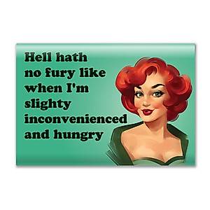 4 Pack Refrigerator Magnets - Funny Fridge Magnet - Perfect Housewarming Gift, or Gift for Women Friends