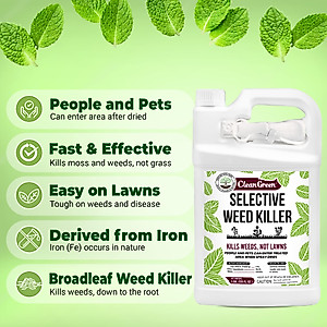 Mighty Mint Clean Green Selective Weed Killer for Lawns - Kills Weeds, Not Grass - 1 Gallon