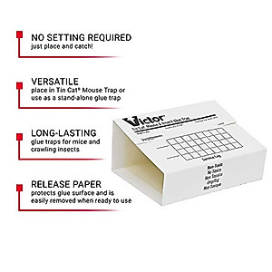 Victor M309 Mouse and Crawling Insect Sticky Glue Board Traps - 72 Pack