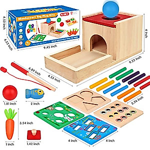 Montessori Toys for 1 2 3 Year Old, 5 in 1 Wooden Montessori Toys for Babies 6-12 Months, Toddler Toys Kit Includes Object Permanence Box with Ball Drop Toy, Shape Sorter & Other Educational Toys