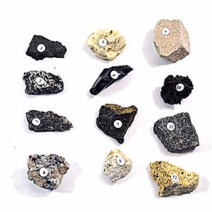Eisco Igneous Rocks Kit - Contains 12 specimens Measuring Approx. 1" (3cm)