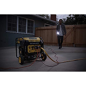 Champion Power Equipment 100520 8750-Watt DH Series Open Frame Inverter, Electric Start