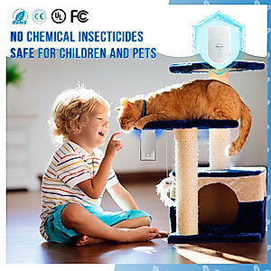 SHIELDFLY | Fly Trap Indoor, Gnat Killer Indoor, Fly Traps Indoor for Home, Highly Effective UV Light, Flying Insect Trap, Flies, Fruit Flies, Gnats & Other Flying Insects (1 Device + 3 Cartridges)