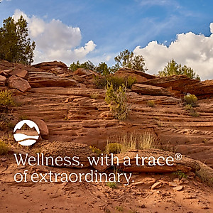 Trace Minerals Magnesium Glycinate 120mg - Bone Strength & Muscle Support - Magnesium Supplement to Aid Healthy Sleep Patterns & Relaxation - Support Nerve Function - 90 Capsules (90 Servings)