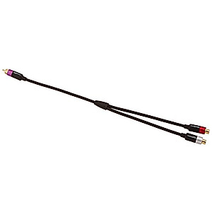 Amazon Basics 1-Male to 2-Female RCA Y-Adapter Splitter Cable - 12-Inches