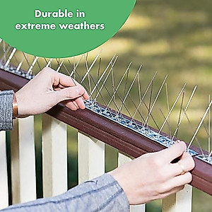 Bird Blinder Steel Bird Spikes for Pigeons and Other Small Birds - 4 inch Wide Pre-Assembled Bird Deterrent No Plastic - 10 Strips, 11 ft Coverage