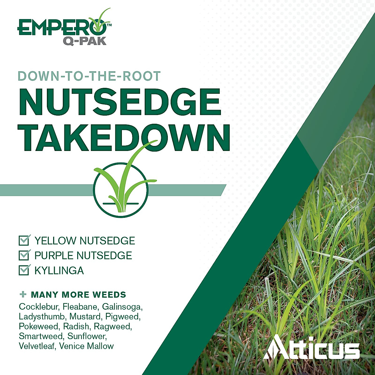 Atticus Empero Q-Pak Nutsedge Killer (Compare to SedgeHammer Plus) - (2 Pack) Turf Herbicide - Kills Nut Grass in Established Lawns, Ornamental Turfgrass, & Landscape Areas - Halosulfuron