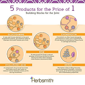 Herbsmith Sound Dog Viscosity – Advanced Joint Support for Dogs – Veterinarian Recommended Glucosamine for Dogs, Hyaluronic Acid, Chondroitin, MSM – Natural Arthritis Pain Relief – 60ct Large Chews