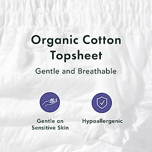 Rael Disposable Underwear for Women, Organic Cotton Cover - Incontinence Pads, Postpartum Essentials, Disposable Underwear, Unscented, Maximum Coverage (Size S-M, 20 Count)