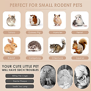 Bissap Bunny Chew Toy, Rabbits Cage Hanging Chew Toys and Treats Rattan Ring with Snacks for Guinea Pigs Chinchillas Hamsters Rats and Other Small Pets Teeth Grinding