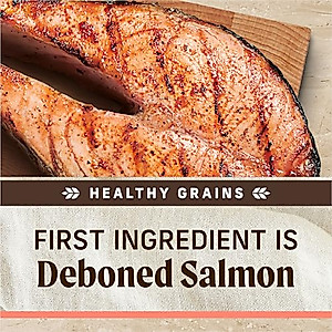 Merrick Healthy Grains Premium Adult Dry Dog Food, Wholesome And Natural Kibble With Salmon And Brown Rice - 12.0 lb. Bag