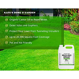 Mole & Vole Repellent for Lawns - Organic Castor Oil (128oz - 1 Gallon) - Kate's Home & Garden. Pet Safe & Non-Toxic. Pure Organic Castor Oil to Repel Moles, Voles, Rodents & Gophers Outdoor