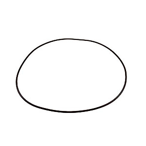 Waterway Plastics 805-0460 Clearwater Ii Lid O-Ring