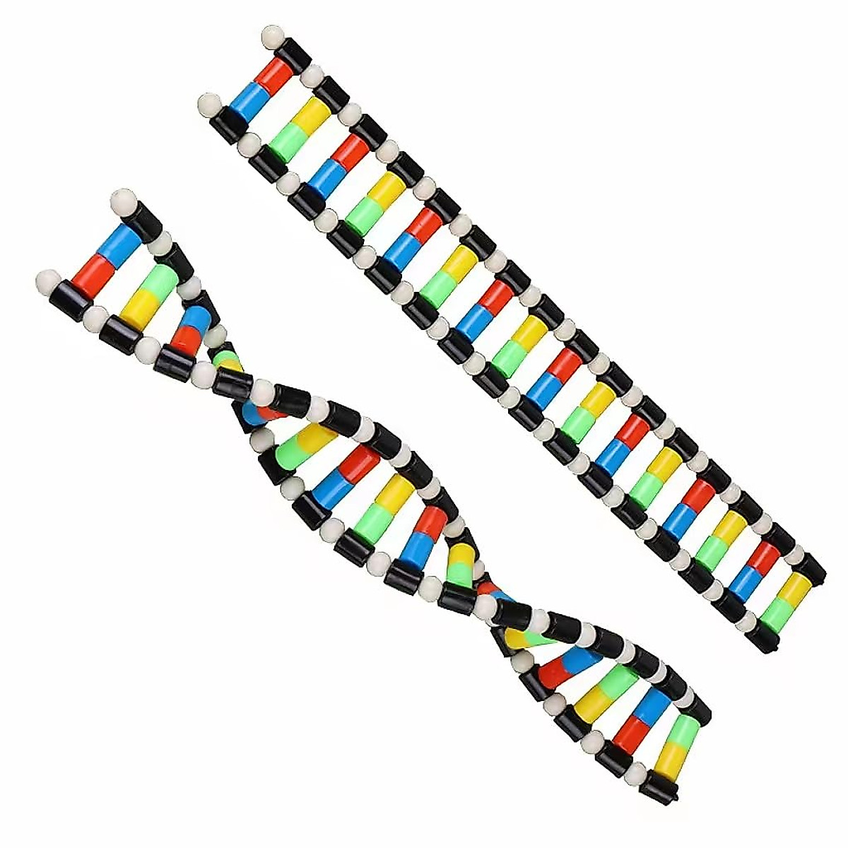 DNA Model Double Helix Structure Model DNA Assembly Biological Science Teaching Aids for DNA Double Helix Modesl kit