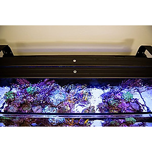 Current USA 4227 Orbit Marine IC PRO LED Reef Aquarium Dual Light System with Wireless Loop, 48"