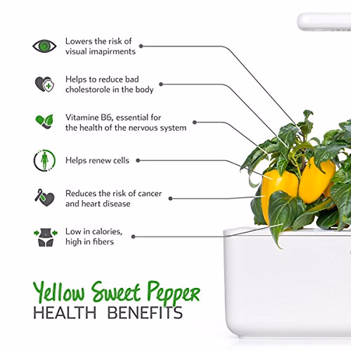 Click and Grow Smart Garden Yellow Sweet Pepper Plant Pods, 3-Pack