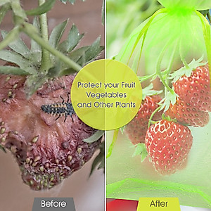 100 Pcs Fruit Protection Bags for Fruit Trees 6 x 8 Inch, Green Mesh Fruit Netting Bag, Fruit Cover Net Bags with Drawstring for Grape Apple Mango Peach Protect from Insect Birds Squirrels