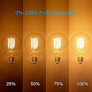 New Lights G25 Globe Edison Bulb, 60W Vintage Round Edison Bulb, Vintage Light Bulb, Old Fashion Dimmable Retro Incandescent Light Bulbs, 2100K Warm White, 240 Lumens,E26, Amber Glass, 4 Pack