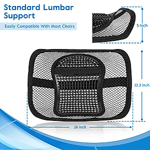 YINSHENG Mesh Back Lumbar Support, Mesh Back Support Seat Cushion Air Flow Chair Back Support with Elastic Strap Back Rest for Home Office Chair Car Seat Back Pain Relief