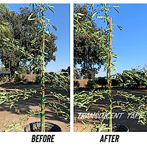 Clear Tie Tape 300 FEET x 1/2" Each Roll/Translucent Stretch Plant Ribbon Garden Vinyl - 3 Pack