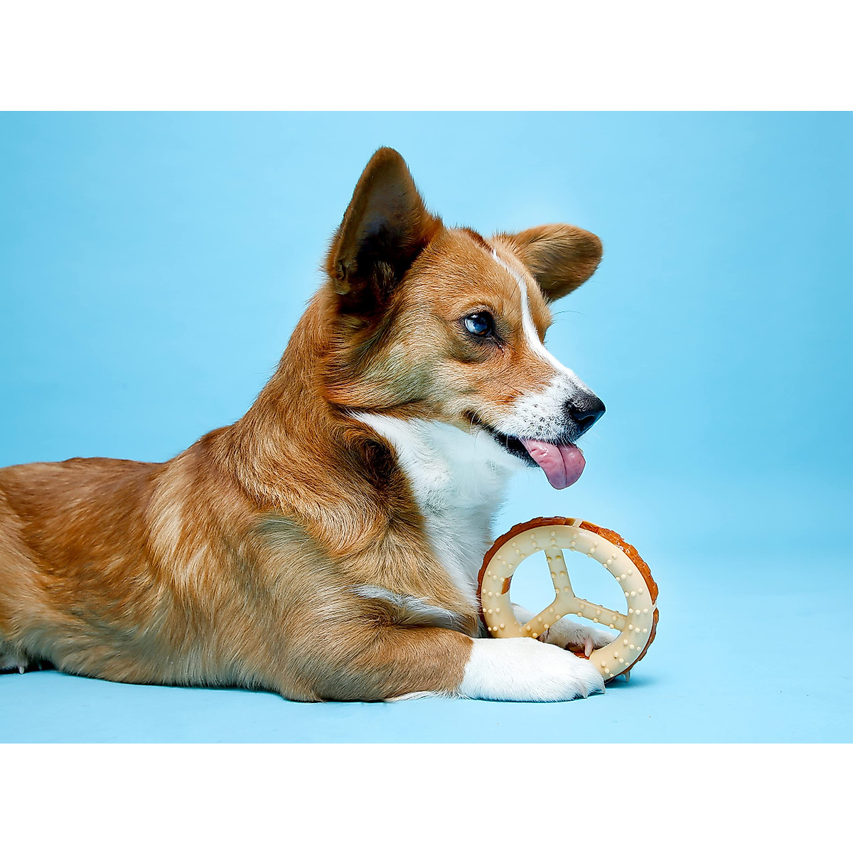 Hartz Chew ‘n Clean Chew Toy and Treat in One Chicken Flavored Ring Dog Toy, Medium