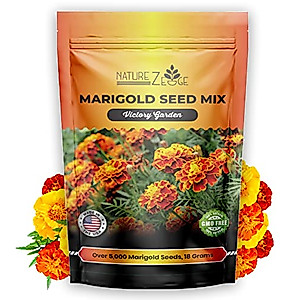NatureZ Edge Marigold Seeds Mix, Over 5600 Seeds, Marigold Seeds for Planting Outdoors, Dainty Marietta, Petite French, Sparky French, and More