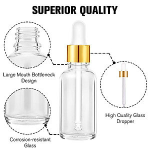 PrettyCare Eye Dropper Bottle 2 oz (12 Pack Clear Glass Bottles 60ml with Golden Caps, 24 Labels, Funnel & Measured Pipettes) Empty Tincture Bottles for Essential Oils