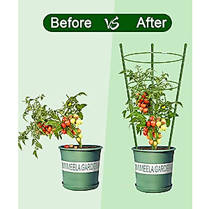 4 Pack Garden Plant Support Tomato Cage, Upgrade 24" Trellis for Climbing Plants, Plant Trellis Kits with 4 Self Watering Spikes and 20 Plant Clips (24")