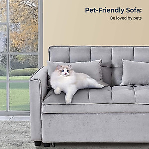 Lyromix 3 in 1 Sleeper Sofa Couch Bed, Velvet Sofa Bed with Adjustable Backrest, Modern Sofa Bed for Living Room, Convertible Sofa Bed for Bedroom, Gray