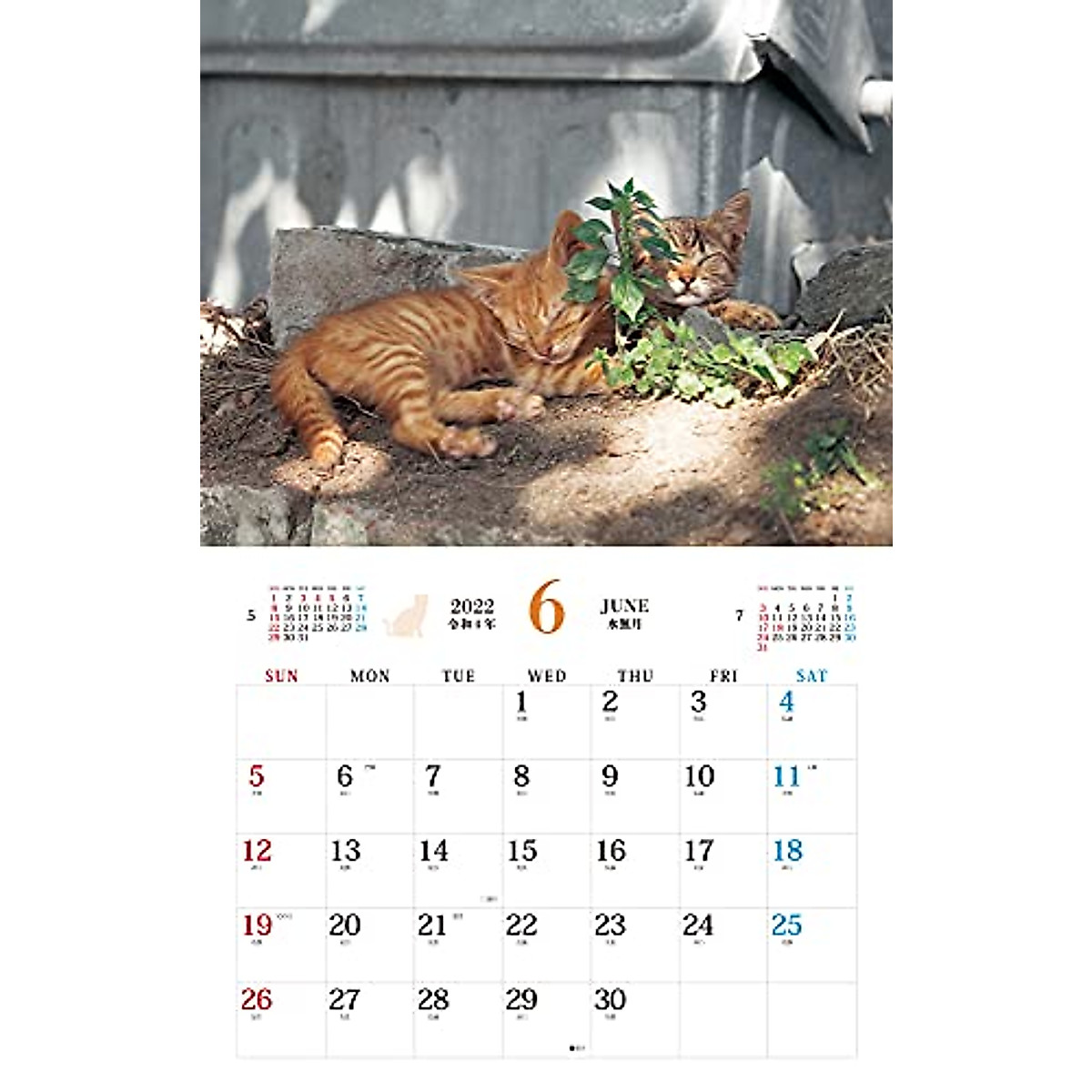 そとねこ (インプレスカレンダー2022)