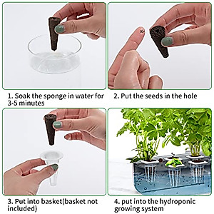 Alphatool 100 Pack Plant Seed Starters Sponges Compatible Seed Grow Pod Replacements Root Growth Sponges Gardening Accessories Fits AeroGarden Hydroponic Garden System Seed Starting