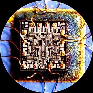 AmScope SM-1TZ-PL-5M Digital Professional Trinocular Stereo Zoom Microscope, WH10x Eyepieces, 3.5X-90X Magnification, 0.7X-4.5X Zoom Objective, Upper and Lower LED Lighting, Large Pillar-Style Table Stand, Includes 0.5X and 2.0X Barlow Lenses and 5MP Came