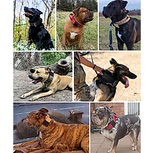 Large Dog Collar Heavy Duty - 2 inch Wide with Handle for Extra Large Breed Dogs, 1/3" Thick Nylon Chew Proof Tactical Collar, Good Choice for German Shepherd,Pitbull,Rottweiler 17"-22"