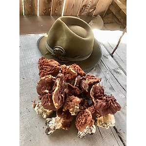 Acropolis Mushroom Foraging Bag - Forage Purse for Morels - Mushroom Hunting Bag Picking for Adults and Kids - Haversack Crossbag - Forage Pouch for Hiking, Morel Mushrooms, Camping