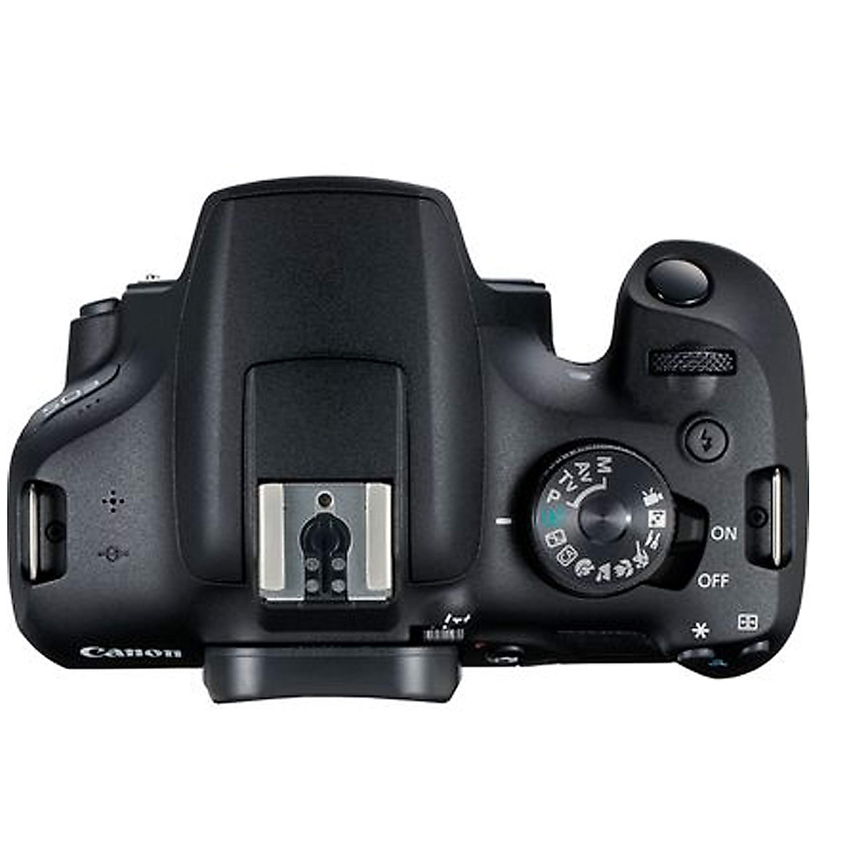 Canon EOS 2000D (Rebel T7) DSLR Camera w/EF-S 18-55mm F/3.5-5.6 Zoom Lens + 420-800mm Super Telephoto Lens + 100S Sling Backpack + 64GB Memory Cards, Professional Photo Bundle (42pc Bundle)