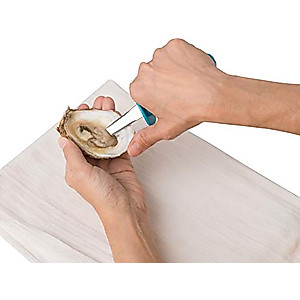 Trudeau Oyster Knife, One Size, Tropical